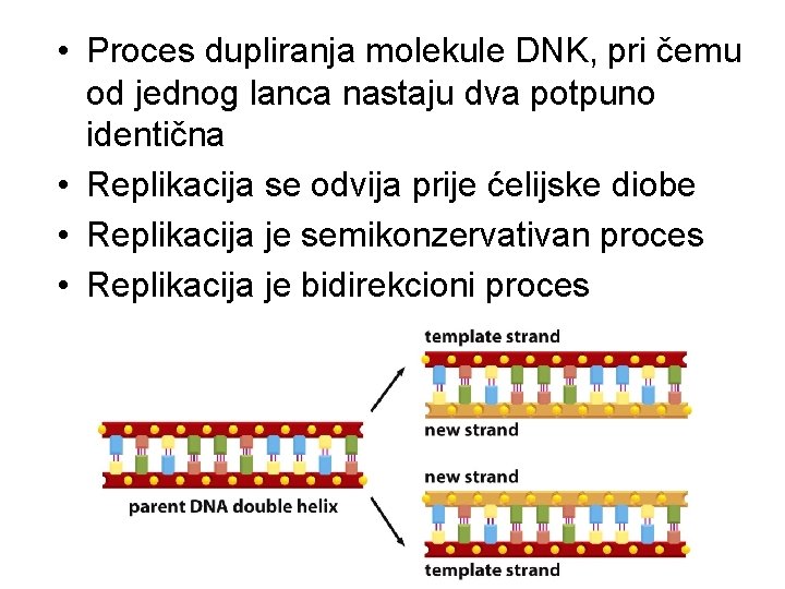 GENETIKA BAKTERIJA Genetika nauka koja prouava svojstva nasleivanja
