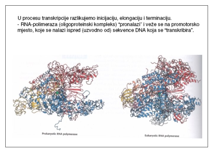 GENETIKA BAKTERIJA Genetika nauka koja prouava svojstva nasleivanja
