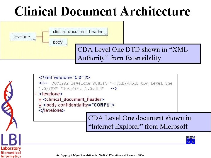 The Relationship between eb XML Archetypes Templates Terminology