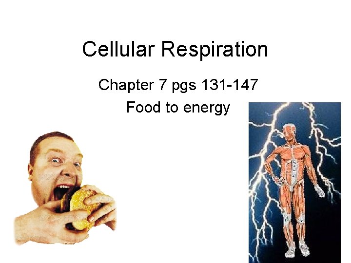 Cellular Respiration Chapter 7 pgs 131 147 Food
