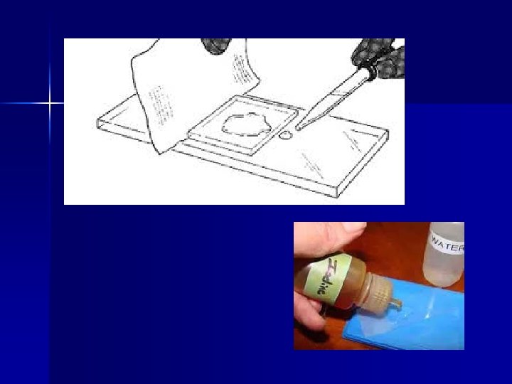 MAKING WET MOUNTS Class Notes Step 1 Get