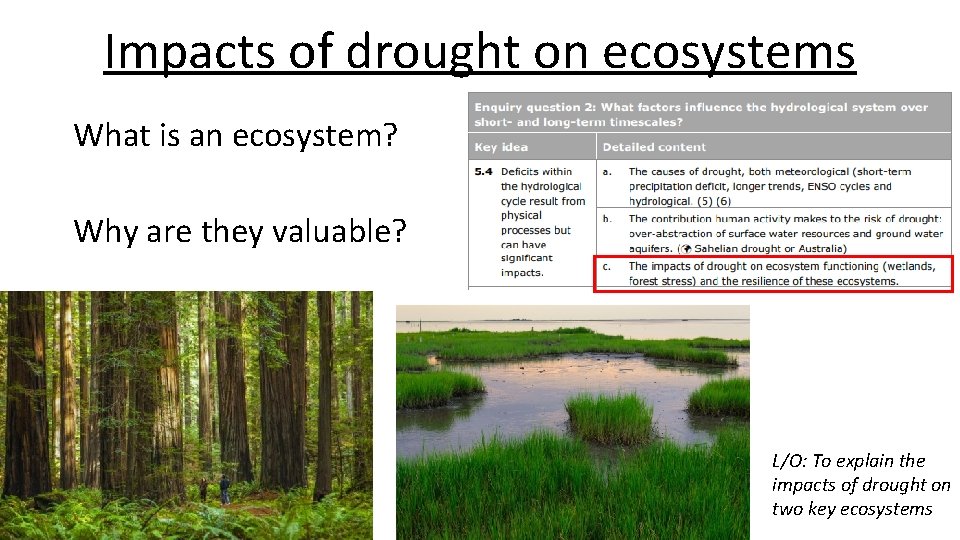 Impacts of drought on ecosystems What is an