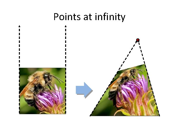 CS 4670 Computer Vision Noah Snavely Lecture 9
