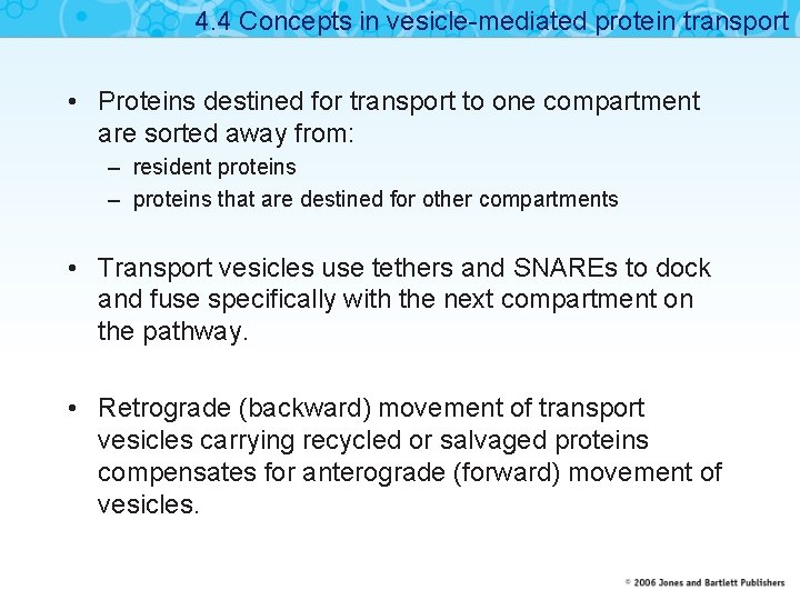 Chapter 4 Protein trafficking between membranes By Graham