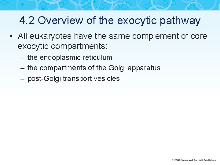 Chapter 4 Protein trafficking between membranes By Graham