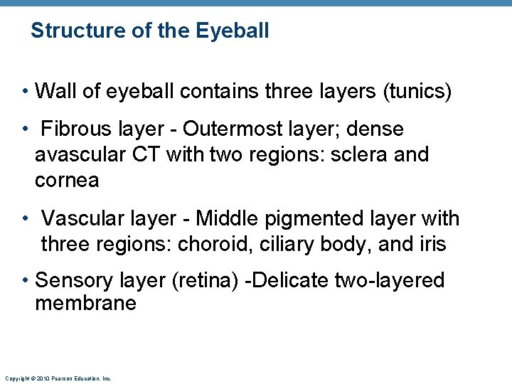 THE EYE PART A Copyright 2010 Pearson Education