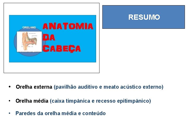 ANATOMIA TOPOGRFICA DA CABEA AULA 15 Orelha externa