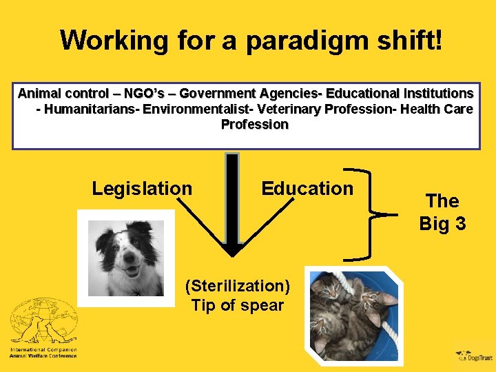 SpayItForward Dr Jeffrey Young graduated from Colorado State