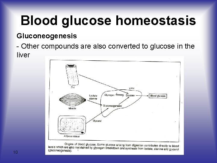 CLINICAL CHEMISTRY MLT 301 CARBOHYDRATE LECTURE ONE Dr