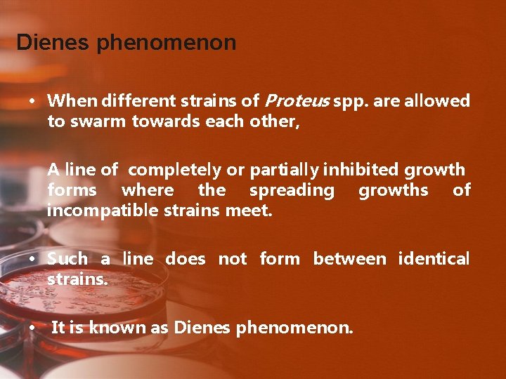 Proteus Morganella Providencia species Dr Baha Eldin Khalid
