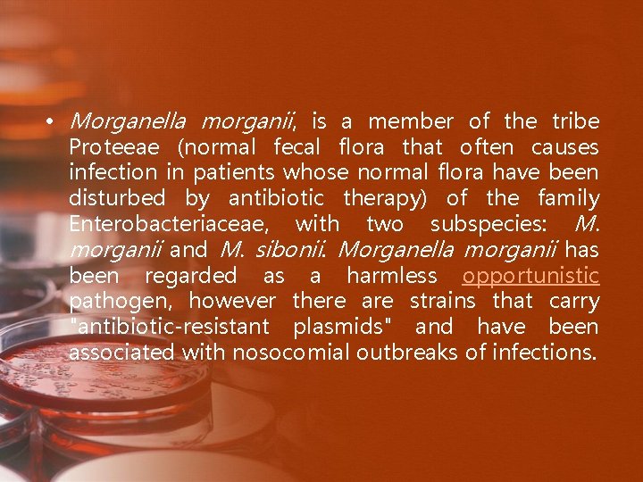 Proteus Morganella Providencia species Dr Baha Eldin Khalid
