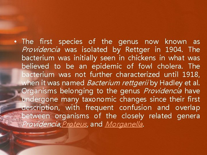 Proteus Morganella Providencia species Dr Baha Eldin Khalid