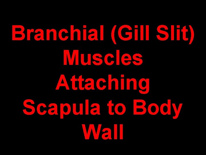 Biology 223 Human Anatomy and Physiology Week 6