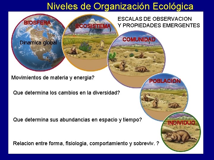 Ecologa Presentacin y bienvenida Dr Rodrigo beas Ecologa