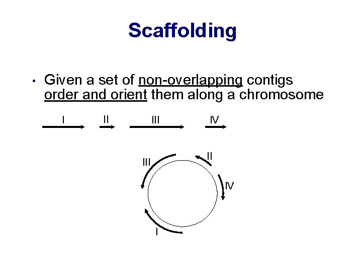 A hierarchical approach to building contig scaffolds Mihai