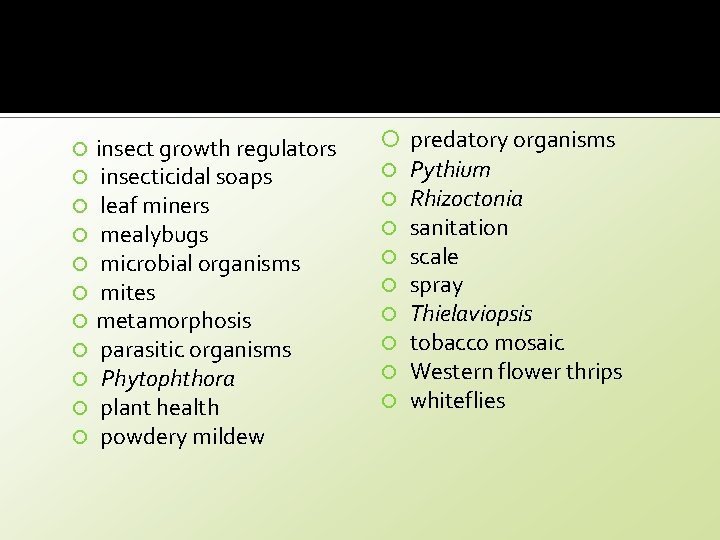 Horticulture Science Lesson 37 Identifying and Managing Insect