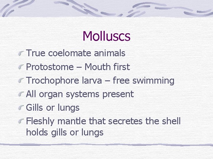 Phylum Mollusca Chapter 16 Molluscs True coelomate animals