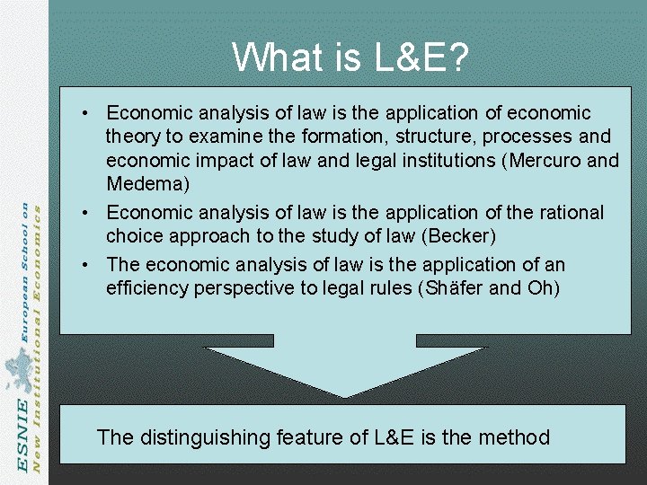 Methodology in LAW ECONOMICS Maria Alessandra Rossi University