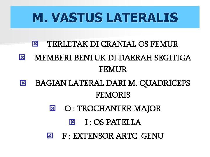 EXTREMITAS CAUDALIS FUNGSI EXTREMITAS CAUDALIS n PENOPANG TUBUH