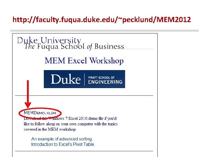 MEM Excel Workshop Advanced Sorting Pivot Table Introduction