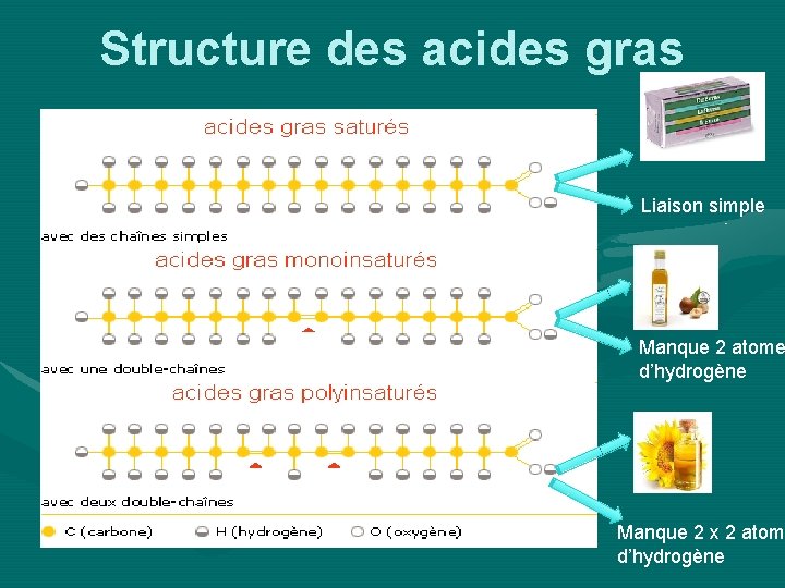 Les lipides partie 1 Dans les pays industrialiss