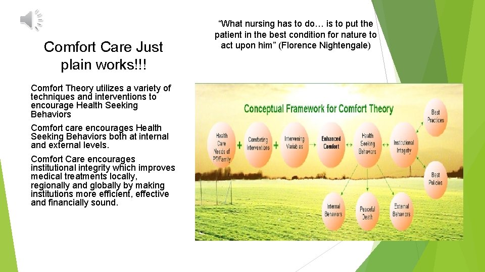 The 4 Metaparadigm Concepts According to the Comfort