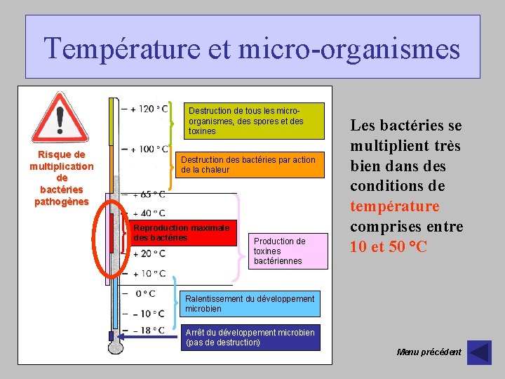 Les risques sanitaires 2 Multiplication et contaminations microbiennes