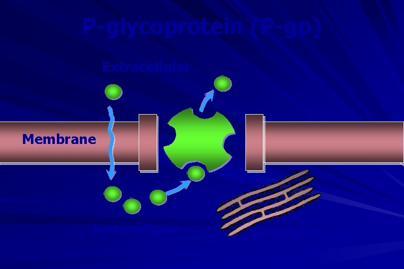 Pharmacology of Enteral Agents Oral Sedation Advantages Acceptance