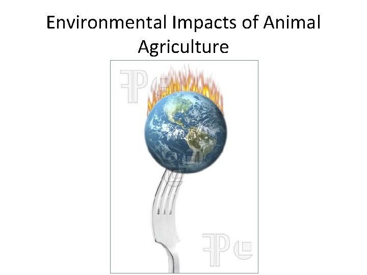 Environmental Impacts of Animal Agriculture Green House Gases