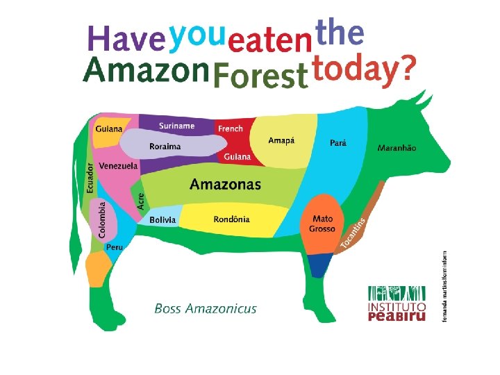 Environmental Impacts of Animal Agriculture Green House Gases