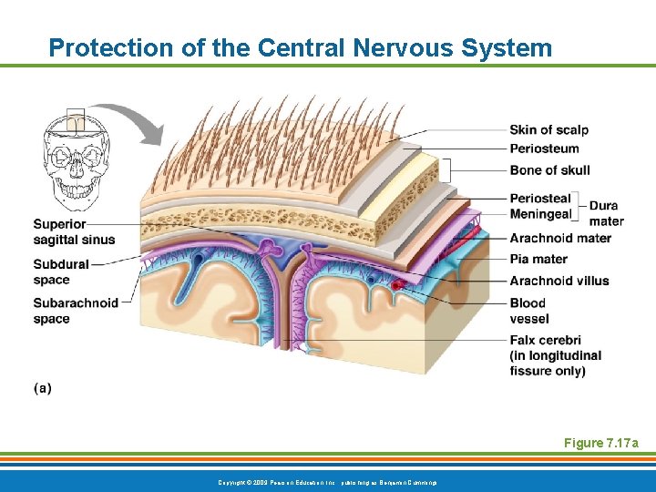 Power Point Lecture Slide Presentation by Patty BostwickTaylor