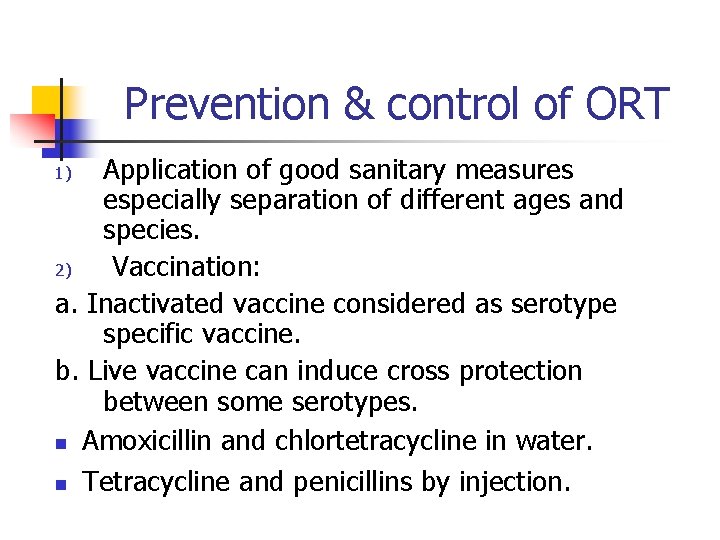 Bacterial Diseases of Turkeys and Ducks Prof Dr