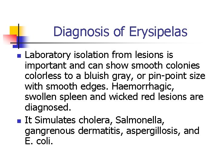Bacterial Diseases of Turkeys and Ducks Prof Dr