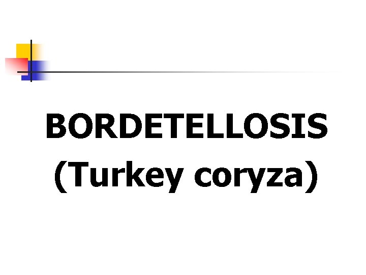 Bacterial Diseases of Turkeys and Ducks Prof Dr