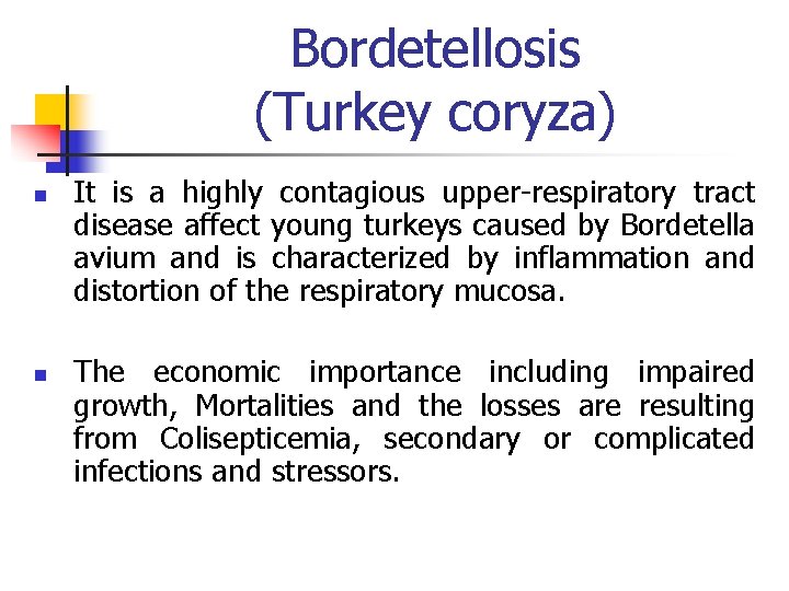 Bacterial Diseases of Turkeys and Ducks Prof Dr