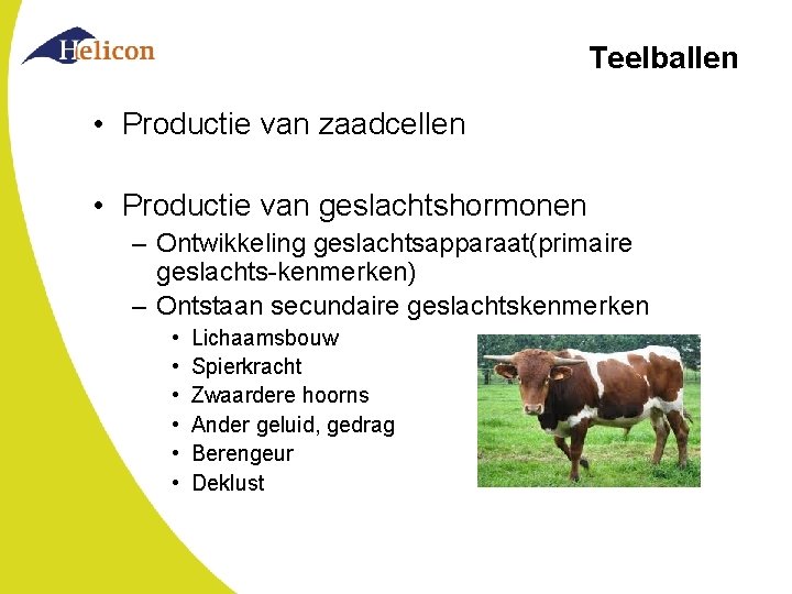 Geslachtsorganen en hormonen Hfdst 4 Mannelijke geslachtsorganen Teelballen