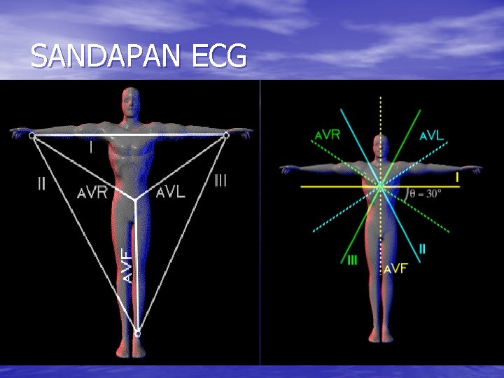 EKG NORMAL IMA ARITMIA YANG MENGANCAM NYAWA ANATOMI