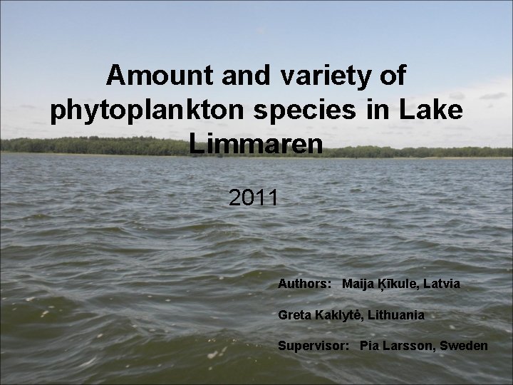 Amount and variety of phytoplankton species in Lake