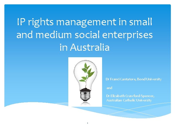 IP rights management in small and medium social