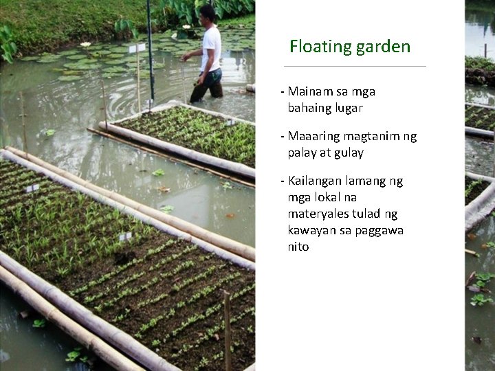 REVIEW Adaptation VS Mitigation ang adaptasyon o pakikibagay