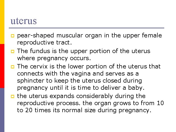 Female Reproductive System Adolescence Puberty p Burst of
