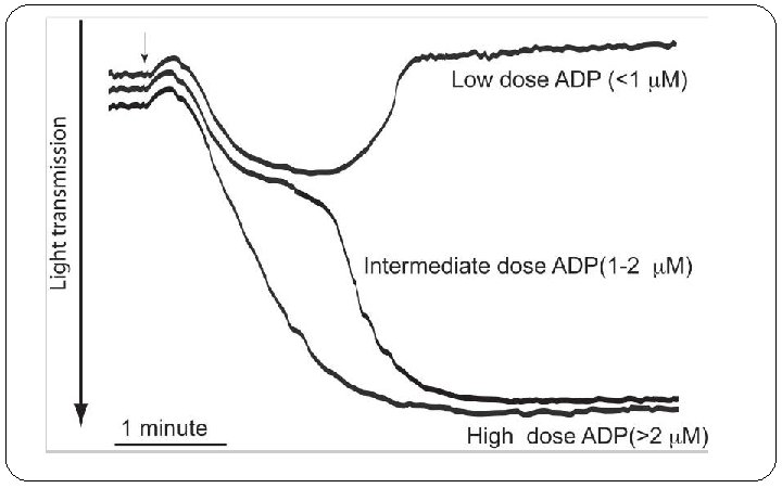 General Approach in Investigation of Haemostasis Platelets aggregation