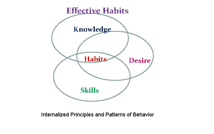 Habits of High Performing Teachers Prof Dr Md