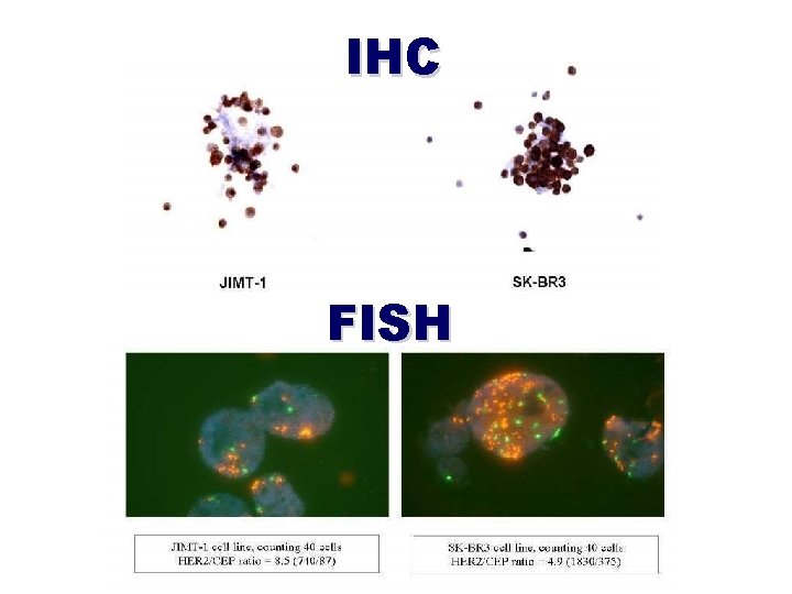Nanomedicine Keon Wook Kang MD Ph D Department