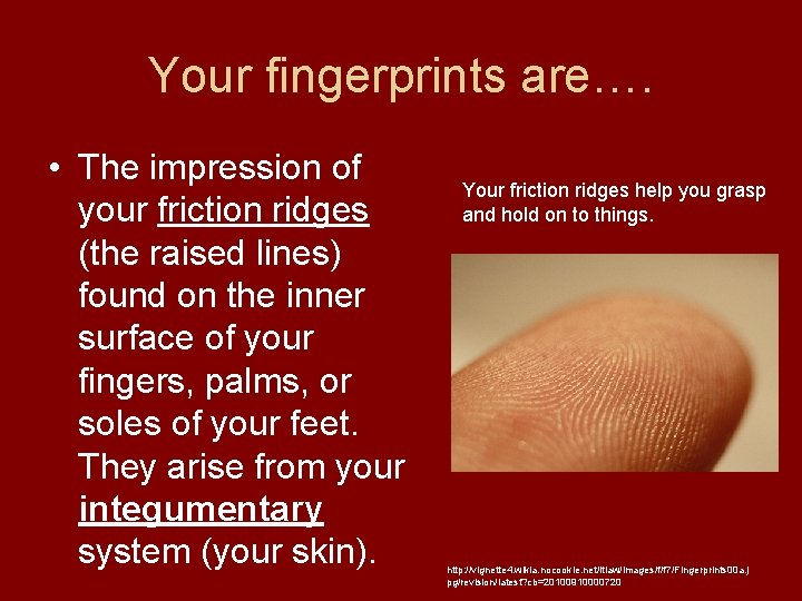 Fingerprints History Describing and Processing http www lanl