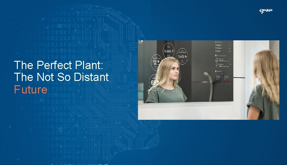 The Perfect Plant The Not So Distant Future
