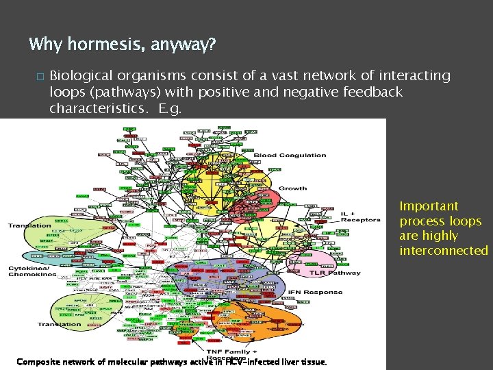 MULTIFACTORIAL HORMESIS PART 1 AN IMPORTANT CONTEXT FOR