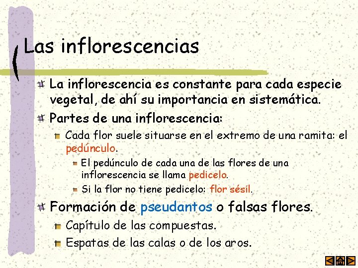 Prctica n 8 a Diagramas y Frmulas Florales