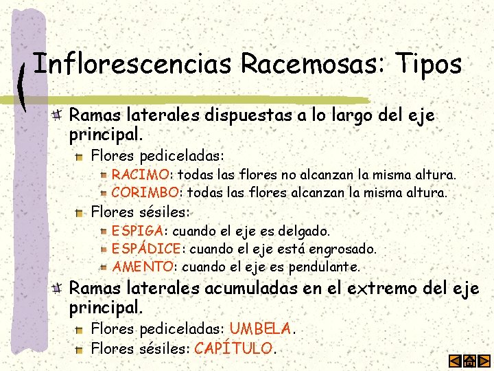Prctica n 8 a Diagramas y Frmulas Florales