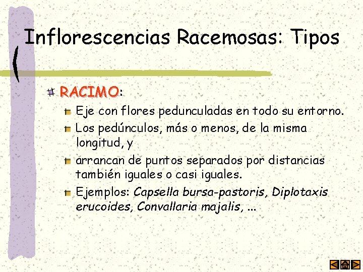 Prctica n 8 a Diagramas y Frmulas Florales